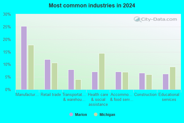 Marion, Michigan (MI 49665) profile: population, maps, real estate ...