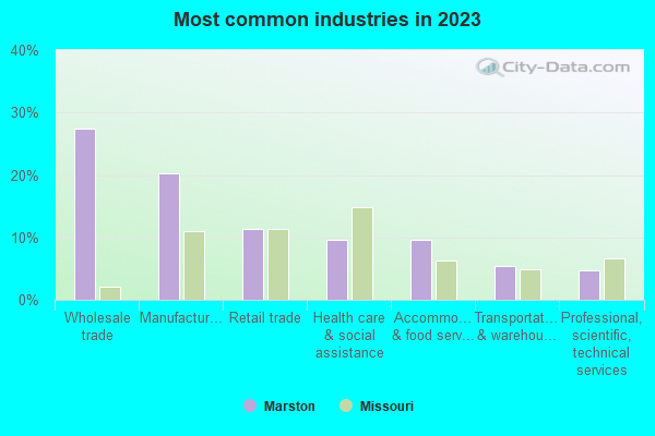 Marston, Missouri (MO 63866) profile: population, maps, real estate ...
