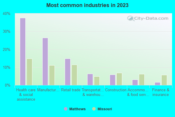 Matthews, Missouri (MO 63867) profile: population, maps, real estate ...