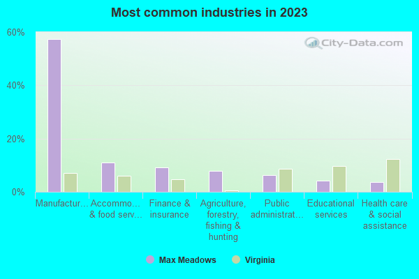 Max Meadows, Virginia (VA 24360) profile: population, maps, real estate ...