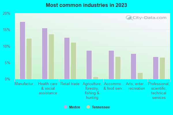 Medon, Tennessee (TN 38356) profile: population, maps, real estate ...