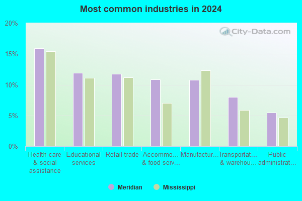 Meridian, Mississippi (MS 39307) profile: population, maps, real estate ...