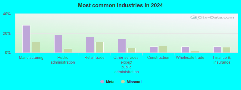 Meta, Missouri (MO 65058) profile: population, maps, real estate ...