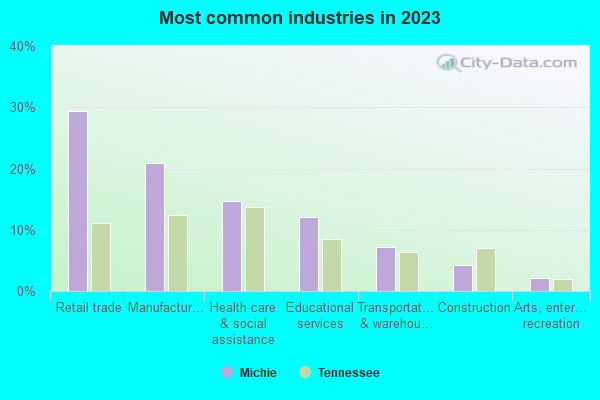 Michie, Tennessee (TN 38357) profile: population, maps, real estate ...