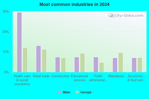 Milan, Georgia (GA 31060) profile: population, maps, real estate ...