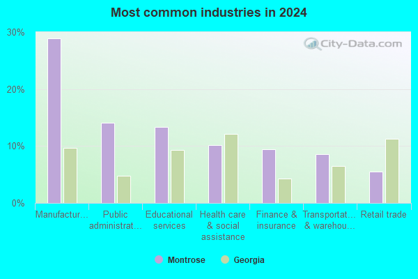 Montrose, Georgia (GA 31065) profile: population, maps, real estate ...