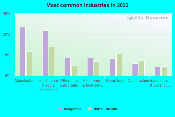 Morganton, North Carolina (NC 28655) profile: population, maps, real ...