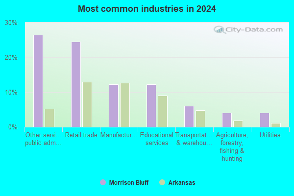 Morrison Bluff, Arkansas (AR 72863) profile: population, maps, real ...