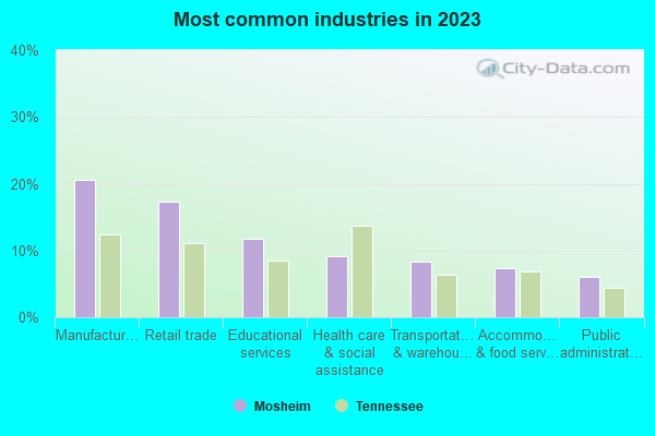 Mosheim, Tennessee (TN) profile: population, maps, real estate ...