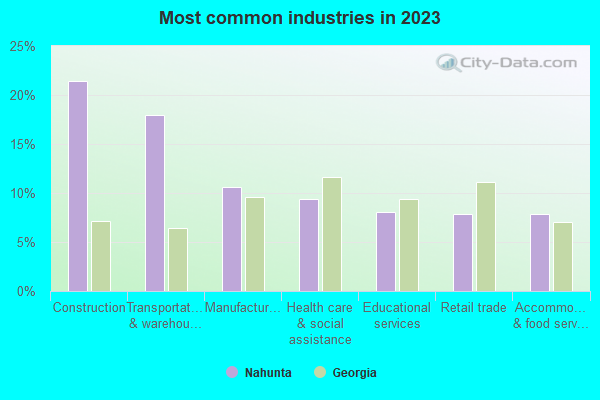 Nahunta, Georgia (GA 31553) profile: population, maps, real estate ...