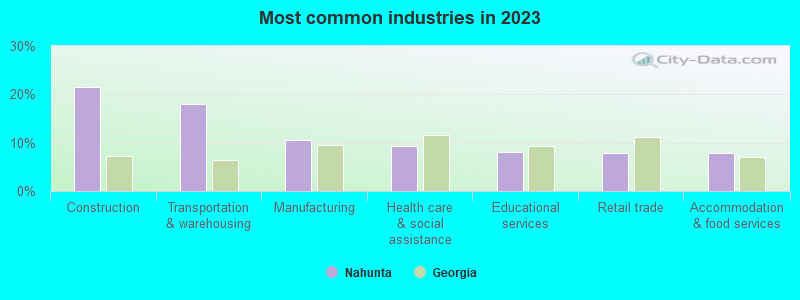 Nahunta, Georgia (GA 31553) profile: population, maps, real estate ...