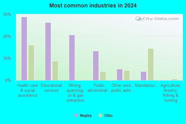 Negley, Ohio (OH) profile: population, maps, real estate, averages ...
