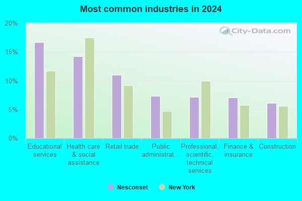 Nesconset, New York (NY 11767) profile: population, maps, real estate ...