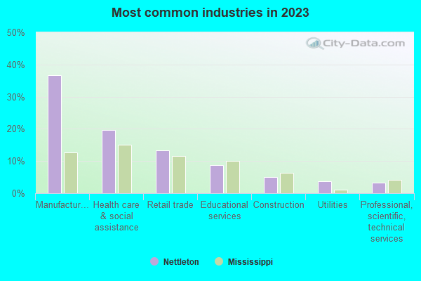 Nettleton, Mississippi (MS 38858, 38862) profile: population, maps ...