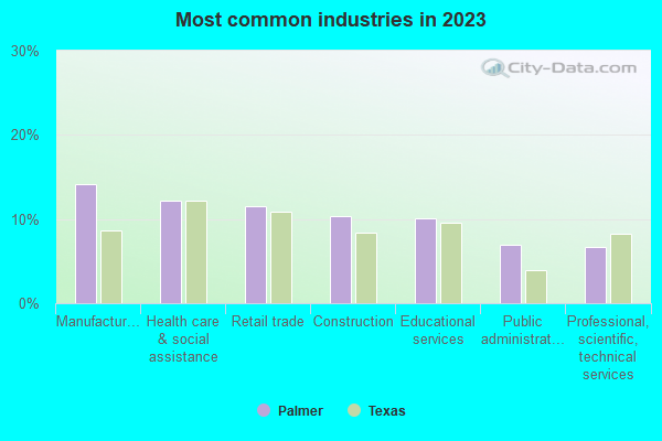 Palmer, Texas (TX 75152) profile: population, maps, real estate ...