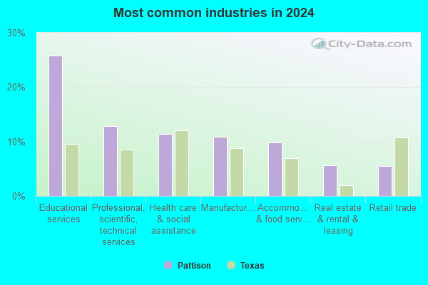Pattison, Texas (TX 77466) profile: population, maps, real estate ...