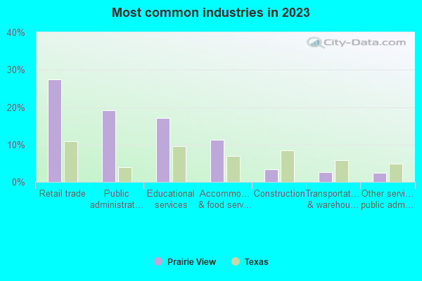 Prairie View, Texas (TX 77446) profile: population, maps, real estate ...