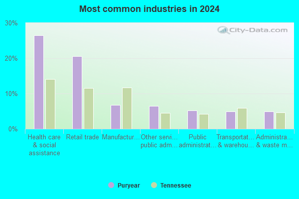 Puryear, Tennessee (TN 38251) profile: population, maps, real estate ...
