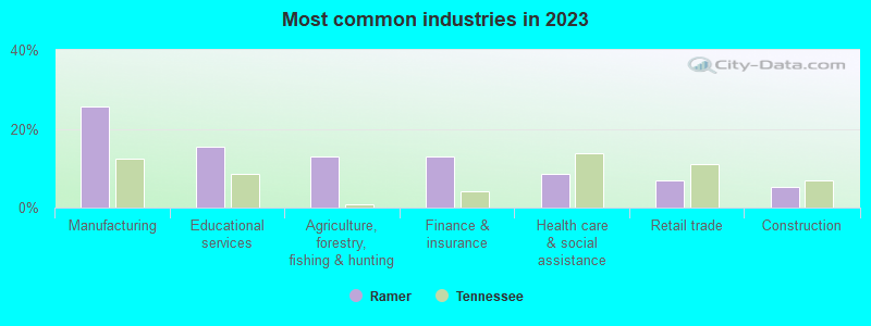 Ramer, Tennessee (TN 38367) profile: population, maps, real estate ...