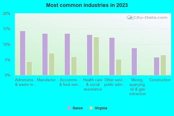 Raven, Virginia (VA) profile: population, maps, real estate, averages ...
