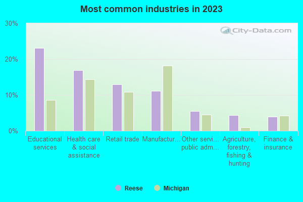 Reese, Michigan (MI 48757) profile: population, maps, real estate ...