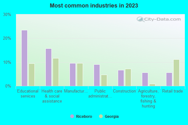 Riceboro, Georgia (GA 31323) profile: population, maps, real estate ...