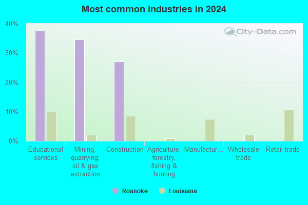 Roanoke, Louisiana (LA 70581) profile: population, maps, real estate ...