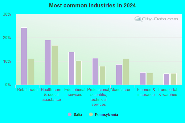Salix, Pennsylvania (PA 15952) profile: population, maps, real estate ...