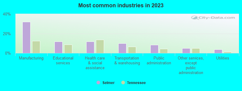 Selmer, Tennessee (TN 38375) profile: population, maps, real estate ...