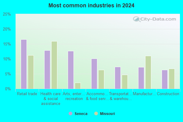 Seneca, Missouri (MO 64865) profile: population, maps, real estate ...