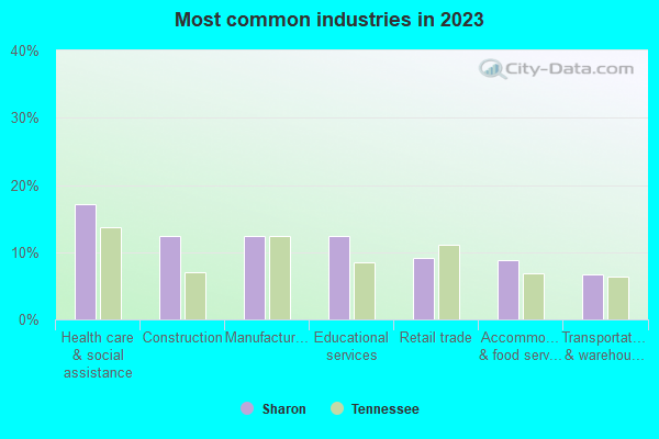 Sharon, Tennessee (TN 38255) profile: population, maps, real estate ...