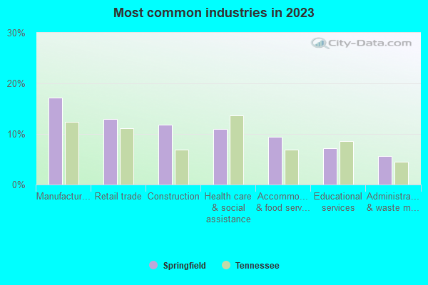 Springfield, Tennessee (TN 37172) profile: population, maps, real ...