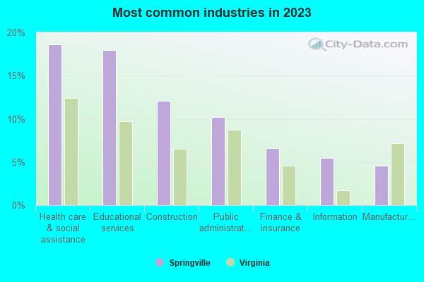 Springville, Virginia (VA 24630) profile: population, maps, real estate ...