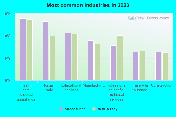 Succasunna, New Jersey (NJ) profile: population, maps, real estate ...