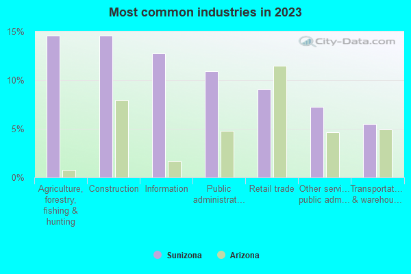 Sunizona, Arizona (AZ 85625) profile: population, maps, real estate ...