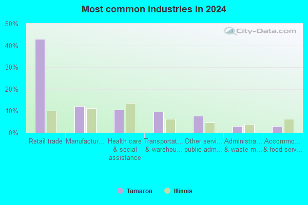 Tamaroa, Illinois (IL 62888) profile: population, maps, real estate ...