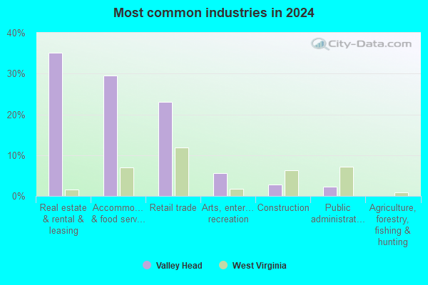 Valley Head, West Virginia (WV 26294) profile: population, maps, real ...