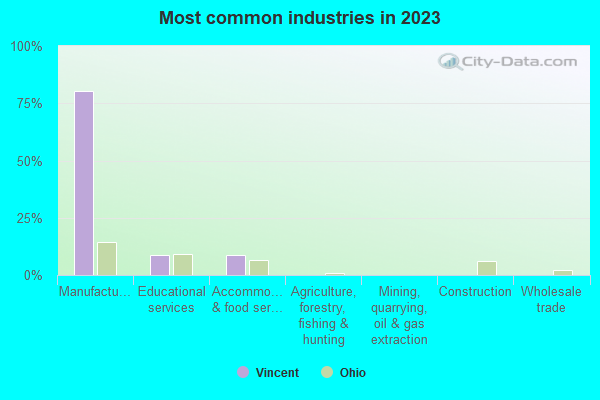 Vincent, Ohio (OH 45784) profile: population, maps, real estate ...