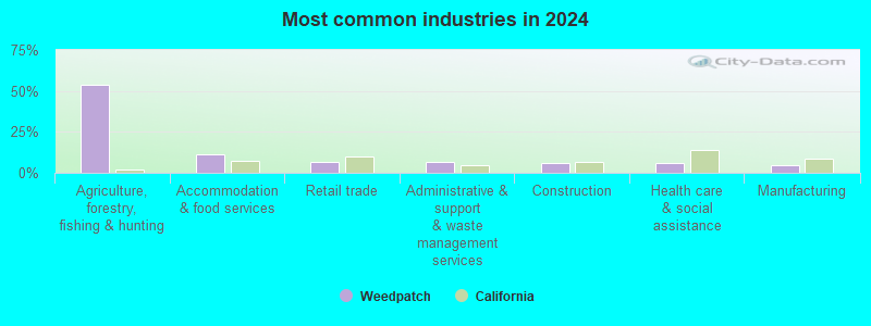 Weedpatch, California (CA 93241) profile: population, maps, real estate ...