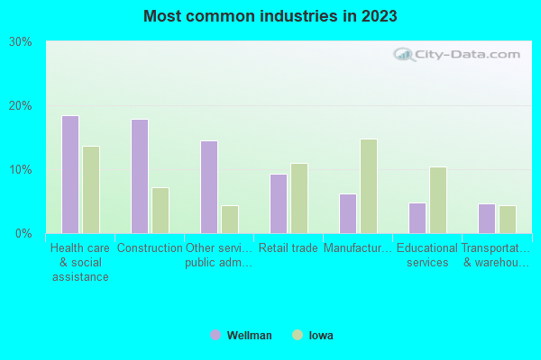 Wellman, Iowa (IA 52356) profile: population, maps, real estate ...