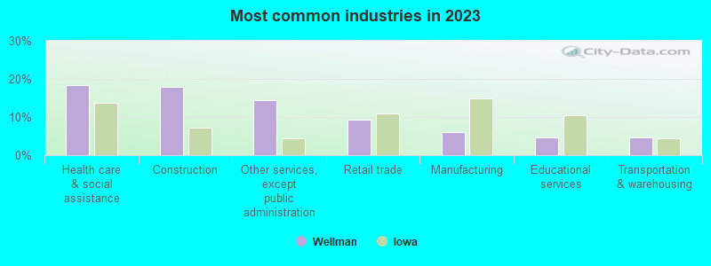 Wellman, Iowa (IA 52356) profile: population, maps, real estate ...