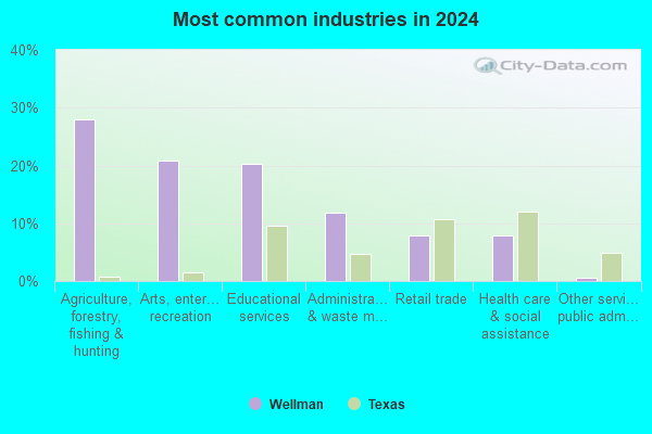 Wellman, Texas (TX 79378) profile: population, maps, real estate ...