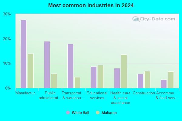 White Hall, Alabama (AL 36040) profile: population, maps, real estate ...