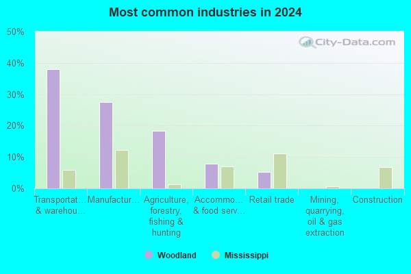 Woodland, Mississippi (MS 39776) profile: population, maps, real estate ...