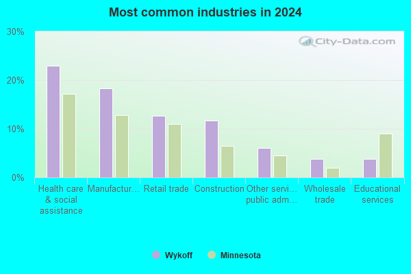 Wykoff, Minnesota (MN 55990) profile: population, maps, real estate ...