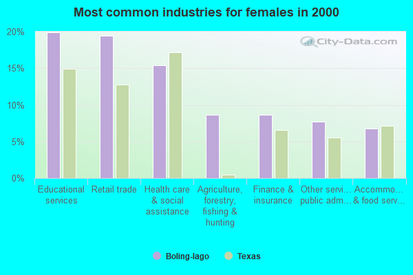 Boling-Iago, Texas (TX 77420) profile: population, maps, real estate ...