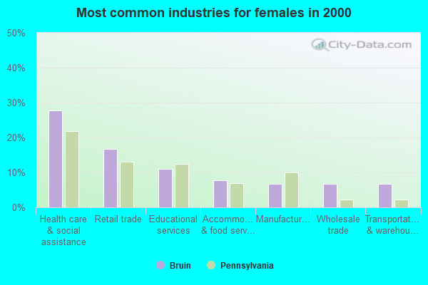Bruin, Pennsylvania (PA) profile: population, maps, real estate ...