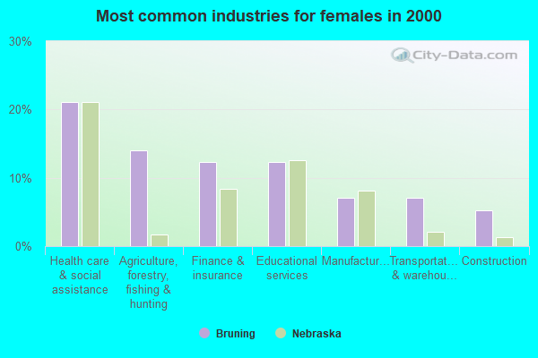 Bruning, Nebraska (NE 68322) profile: population, maps, real estate ...