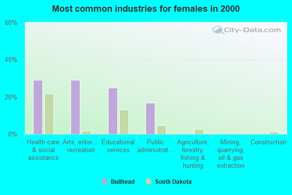 Bullhead, South Dakota (SD 57621) profile: population, maps, real ...