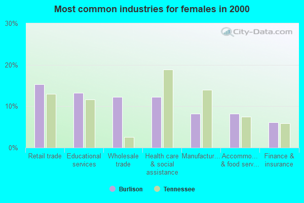 Burlison, Tennessee (TN 38015) profile: population, maps, real estate ...